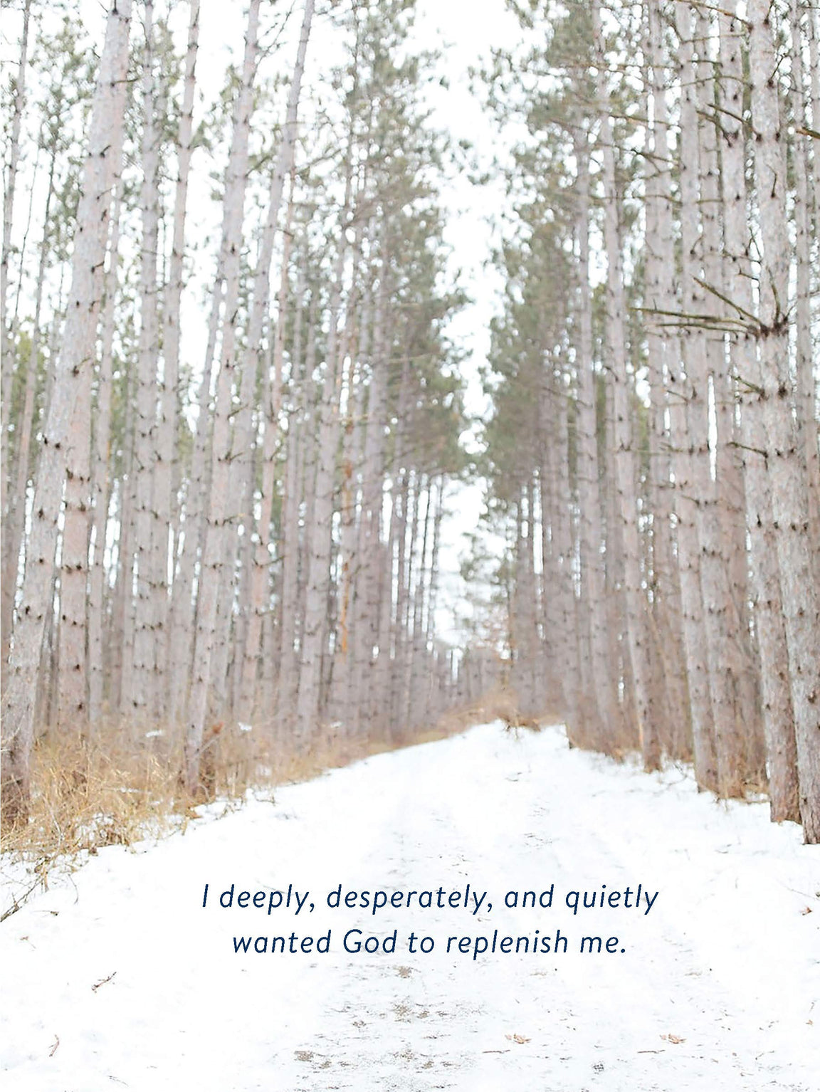 Books — Page 9 — Rock Gifts & Book Centre