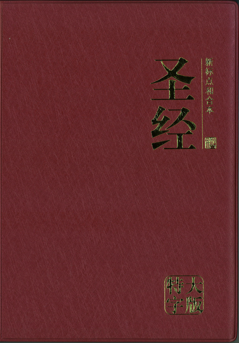 Chinese Bibles — Rock Gifts & Book Centre